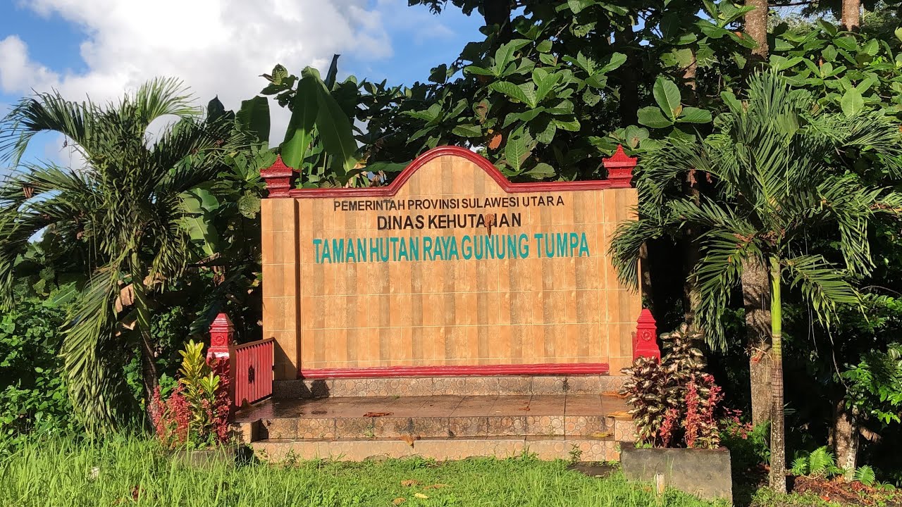 TAHURA GUNUNG TUMPA. Satu-satunya Hutan Raya Kota Manado - YouTube