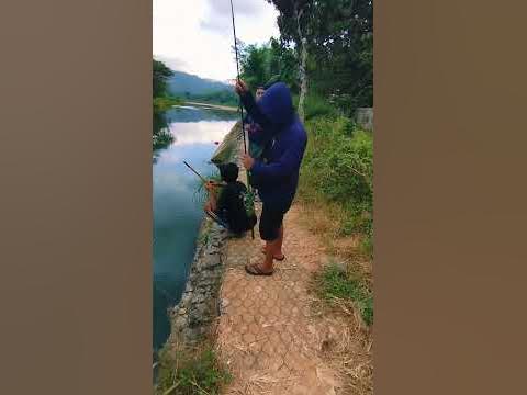 masih dengan misi yang sama menyelamatkan ikan tenggelam 😂 - YouTube