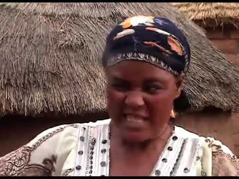 ABLA KOGU 1&2