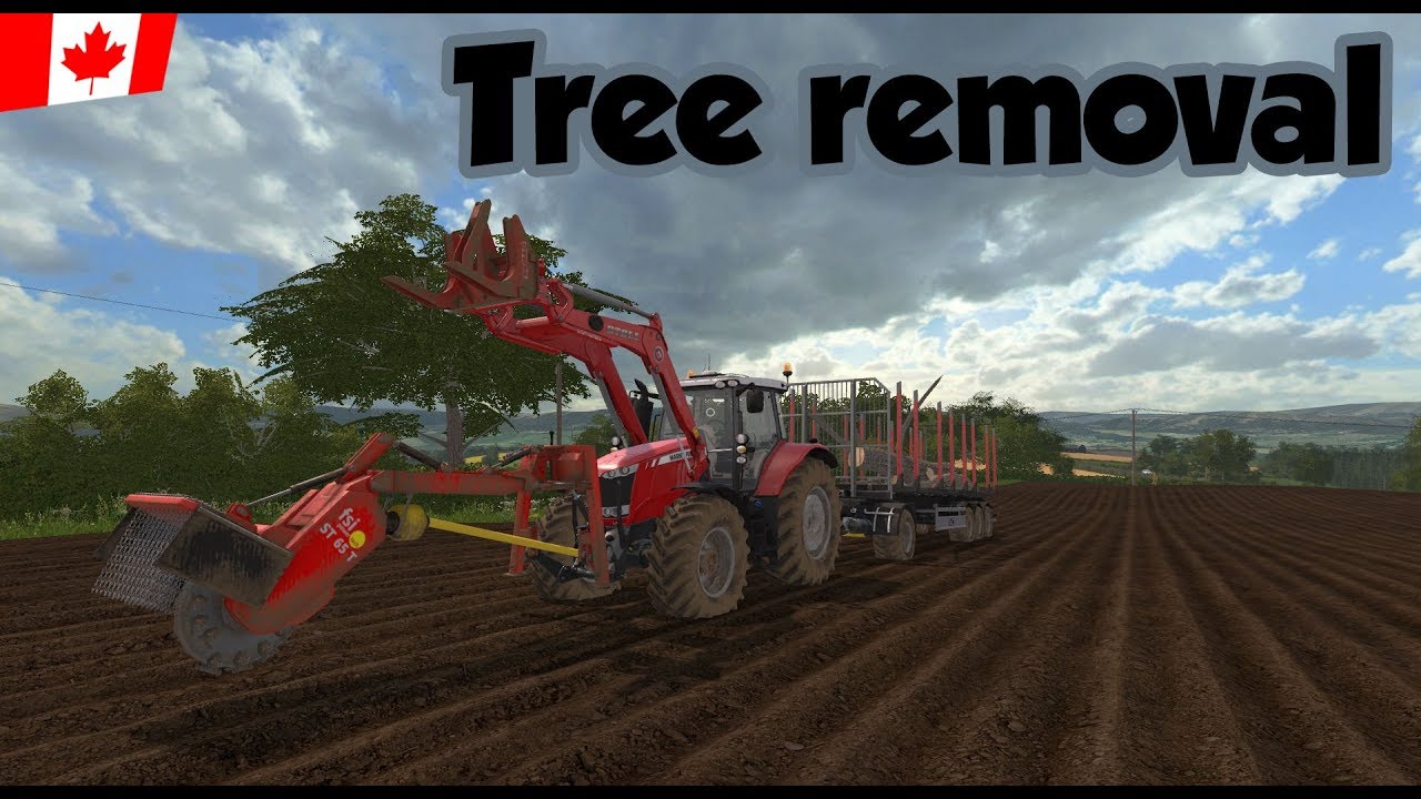 Field 2 tree removal - Ep. 120 - Coldborough Park Farm - FS17 - YouTube