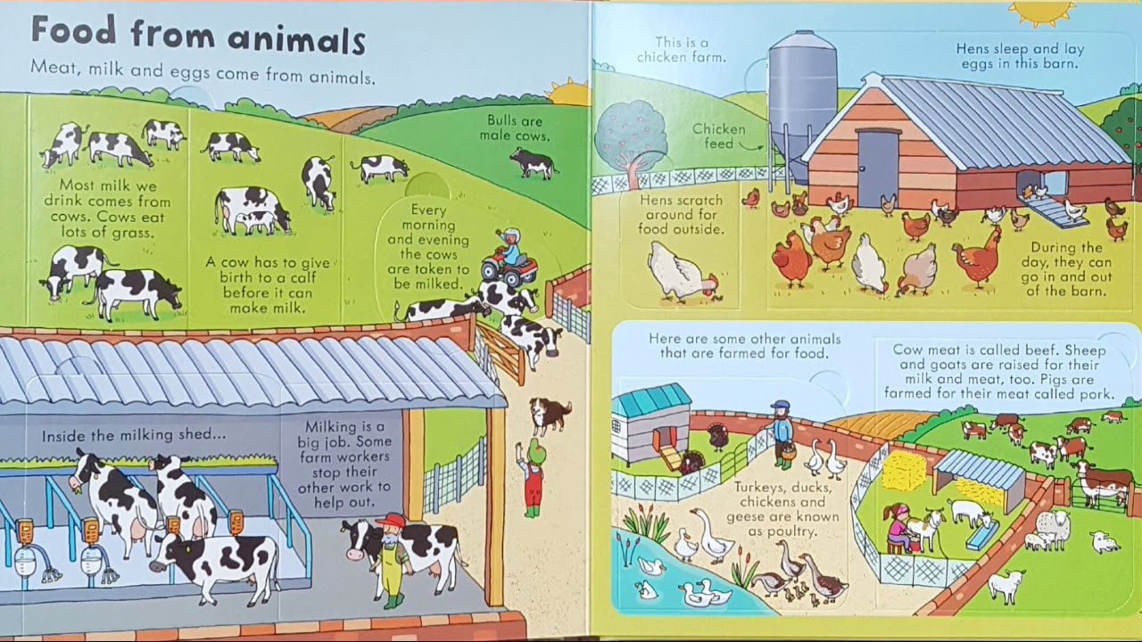 Look inside Food #UsborneBook by Jolly Kids Books Thailand - YouTube