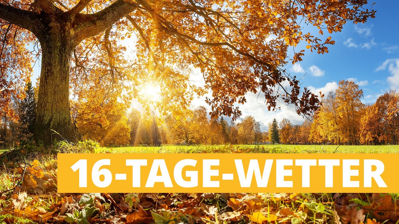 Schone Wetter Grunwald 16 Tage Bilder