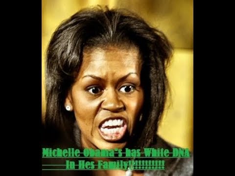 History of Michelle Obama's great great grandmother Melvinia Shields ...