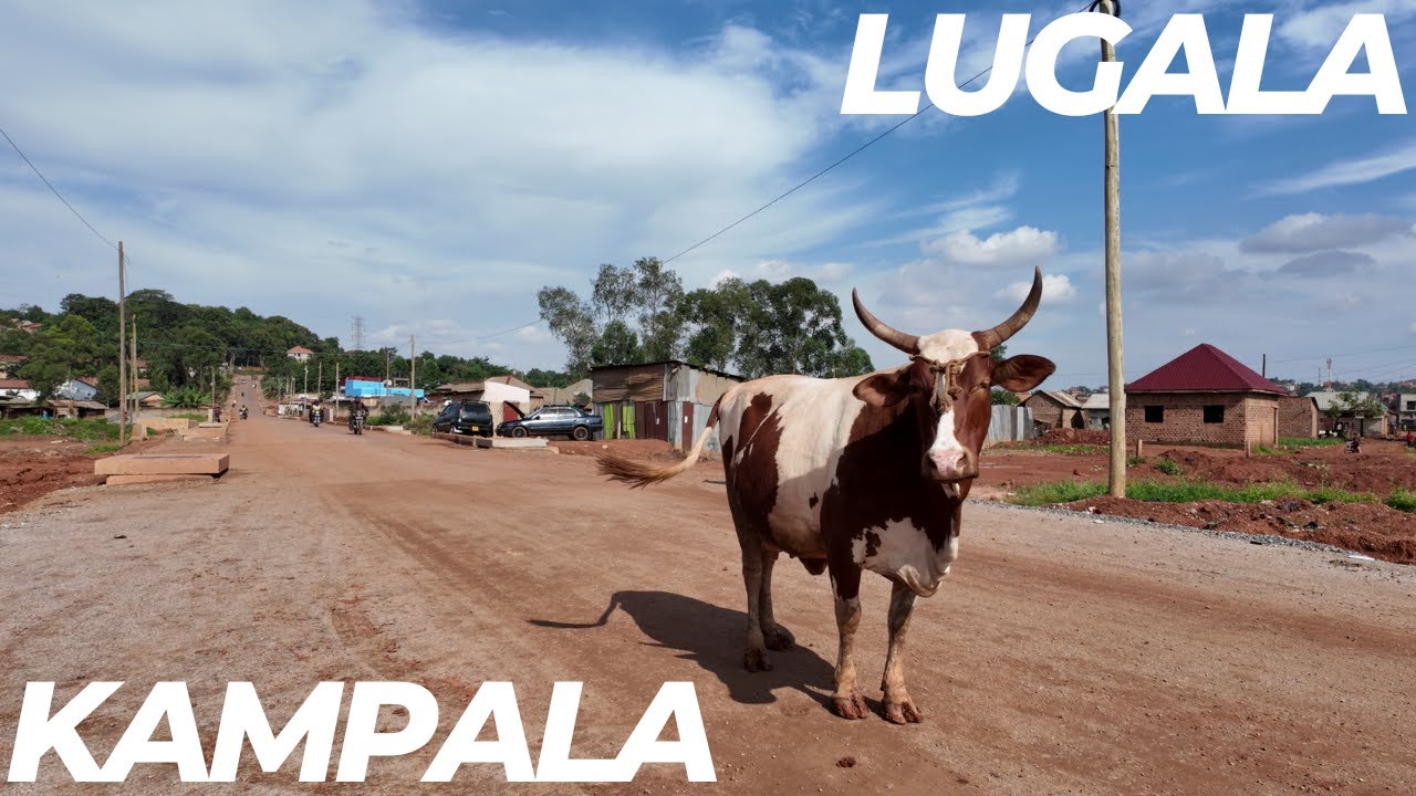 FINALLY See The Lugala Road Project Come To Life! - YouTube