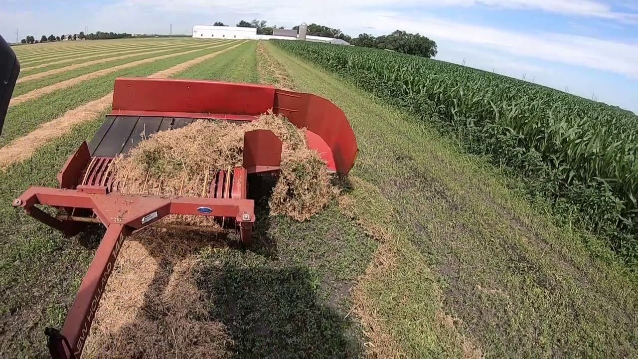 New Holland 144 hay inverter, new seeding alfalfa, important hay ...