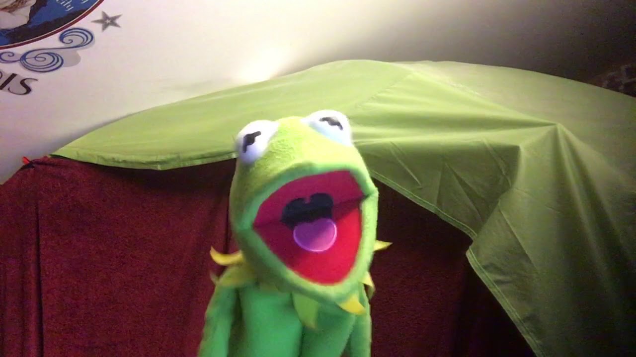 Kermit the Frog Sings Going Up the Country - YouTube
