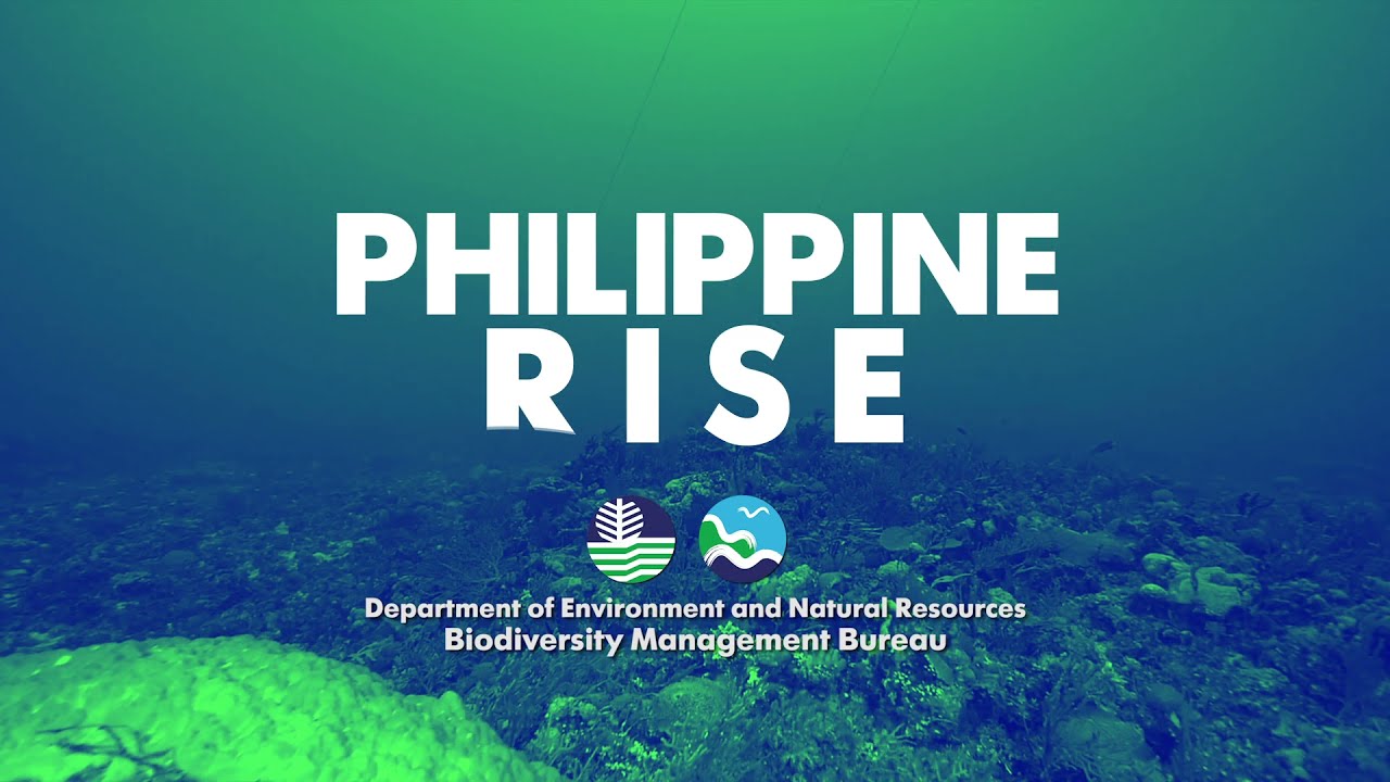 PHILIPPINE RISE INTERSTITIALS 1 - YouTube