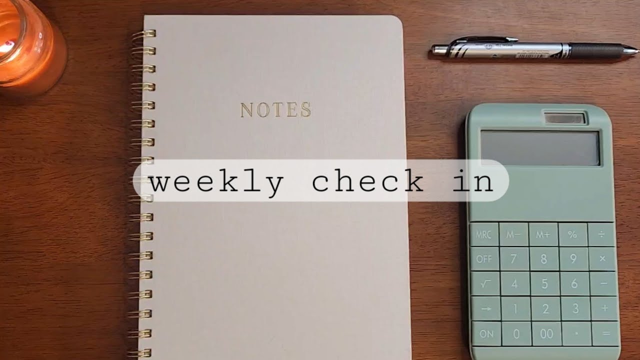 Weekly Check In | Tracking Transactions | Monthly Budget - November ...