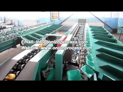 Automatic Onion Weight Grader Machine - YouTube