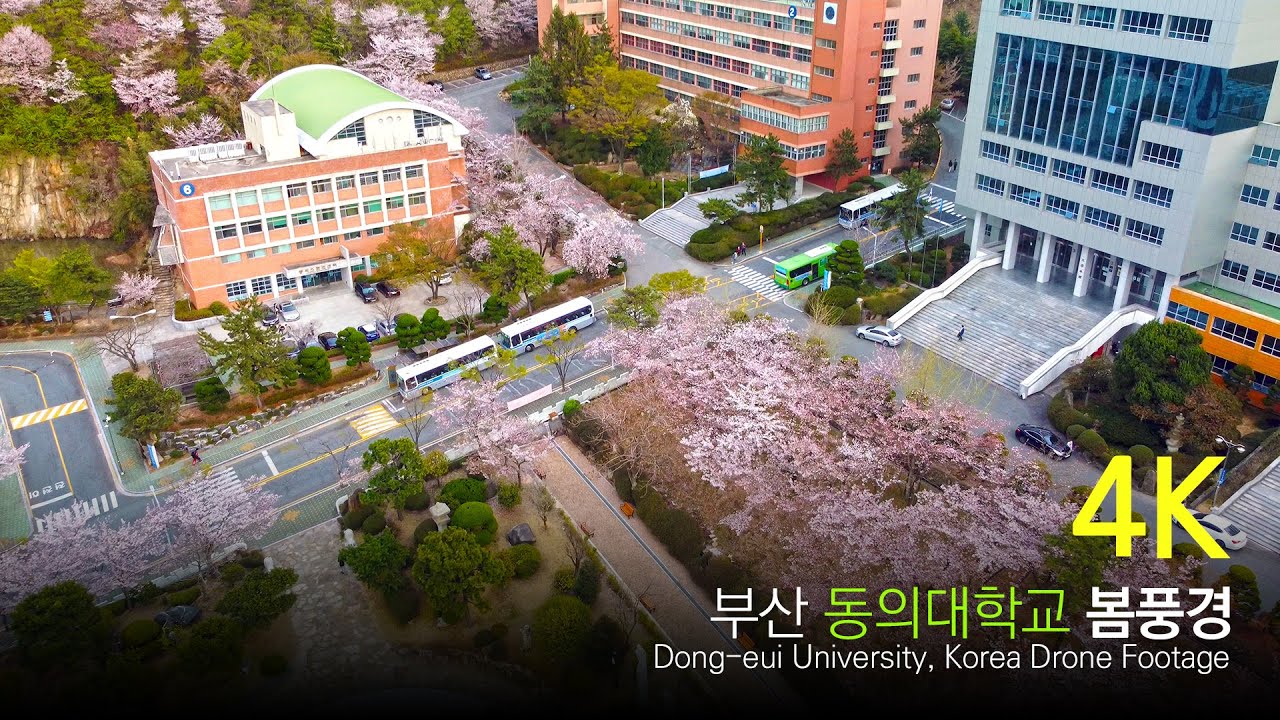 동의대학교 봄풍경 항공촬영 드론영상 4K, South Korea Drone Footage, Dong-eui University ...