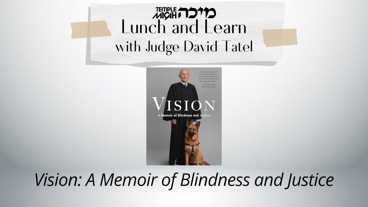 April 2025: Vision - A Memoir of Blindness and Justice with Judge David ...