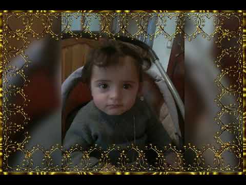 Kamil balamin adgunu