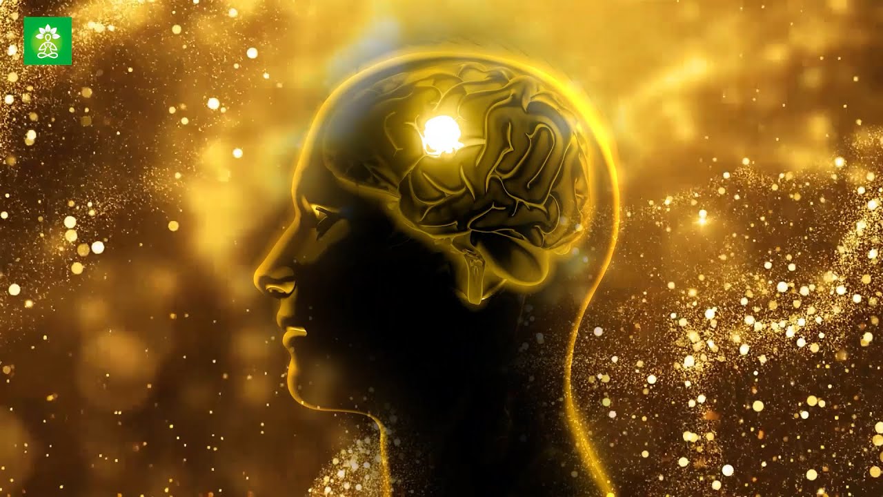 Activate Dopamine Naturally | Stop Engaging In Unhealthy Behaviors ...