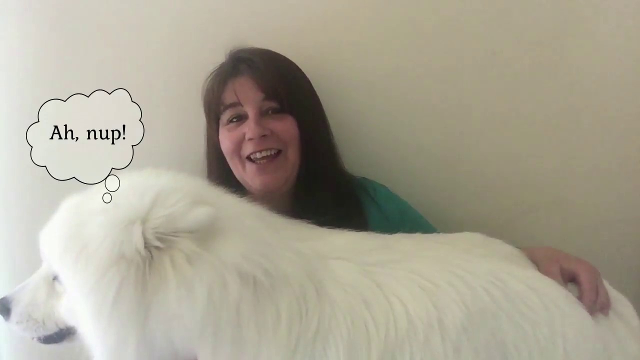 Surrogacy in Animals - YouTube