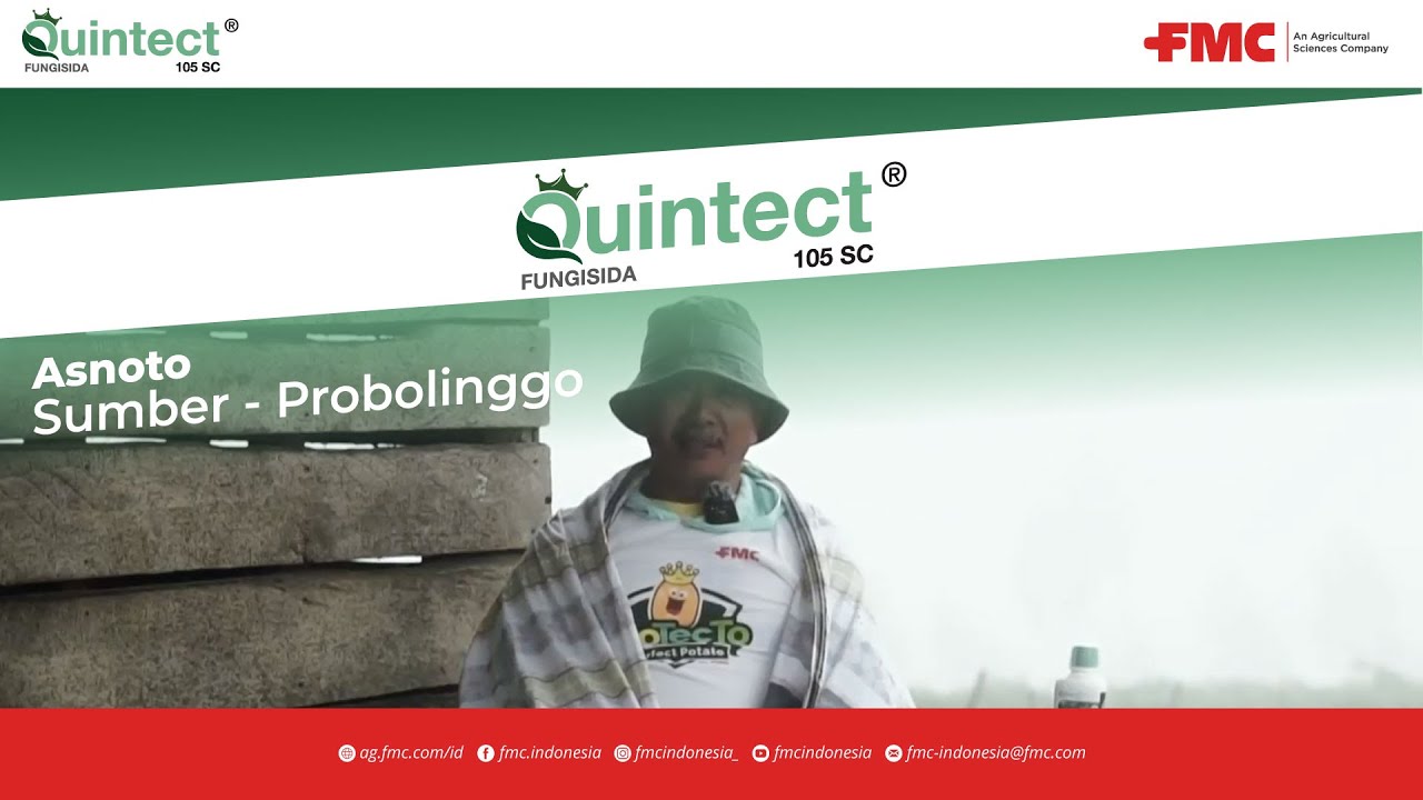 Testimoni Quintect®️ 105 SC - Asnoto (Sumber, Probolinggo) - YouTube