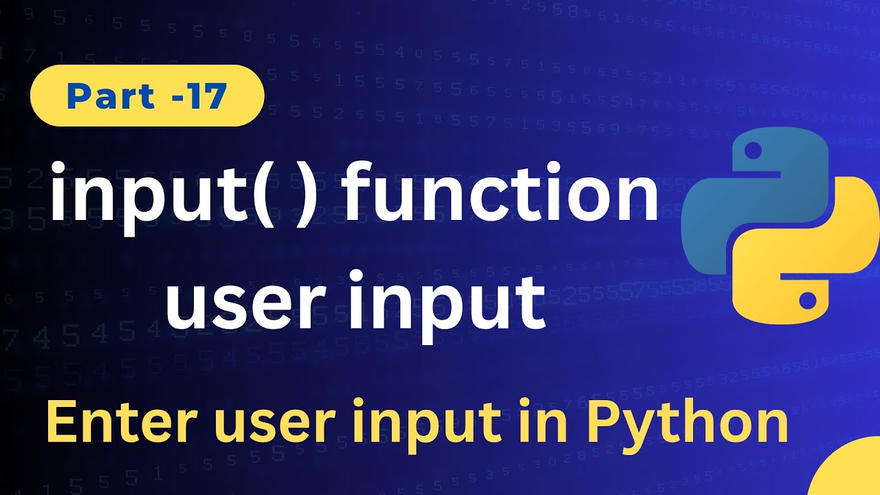 Python Input() Function Explained | Get User Input in Python with Examples (Beginner-Friendly ...