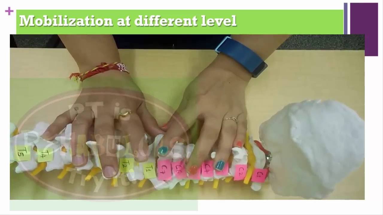 spine mobilization part-3 - YouTube