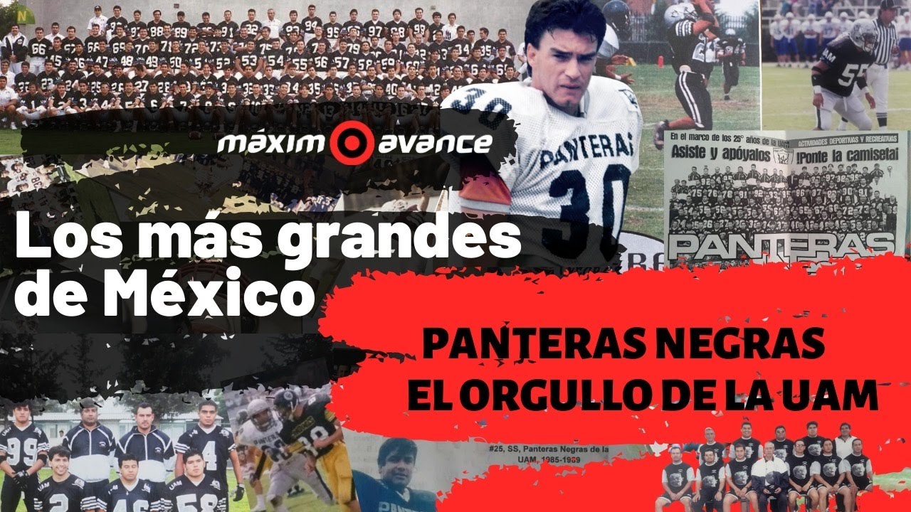 Las PANTERAS NEGRAS, un orgullo de la UAM - YouTube