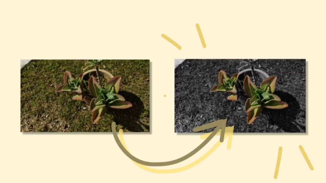 Easiest way to do colour isolation in After Effects (for beginners ...