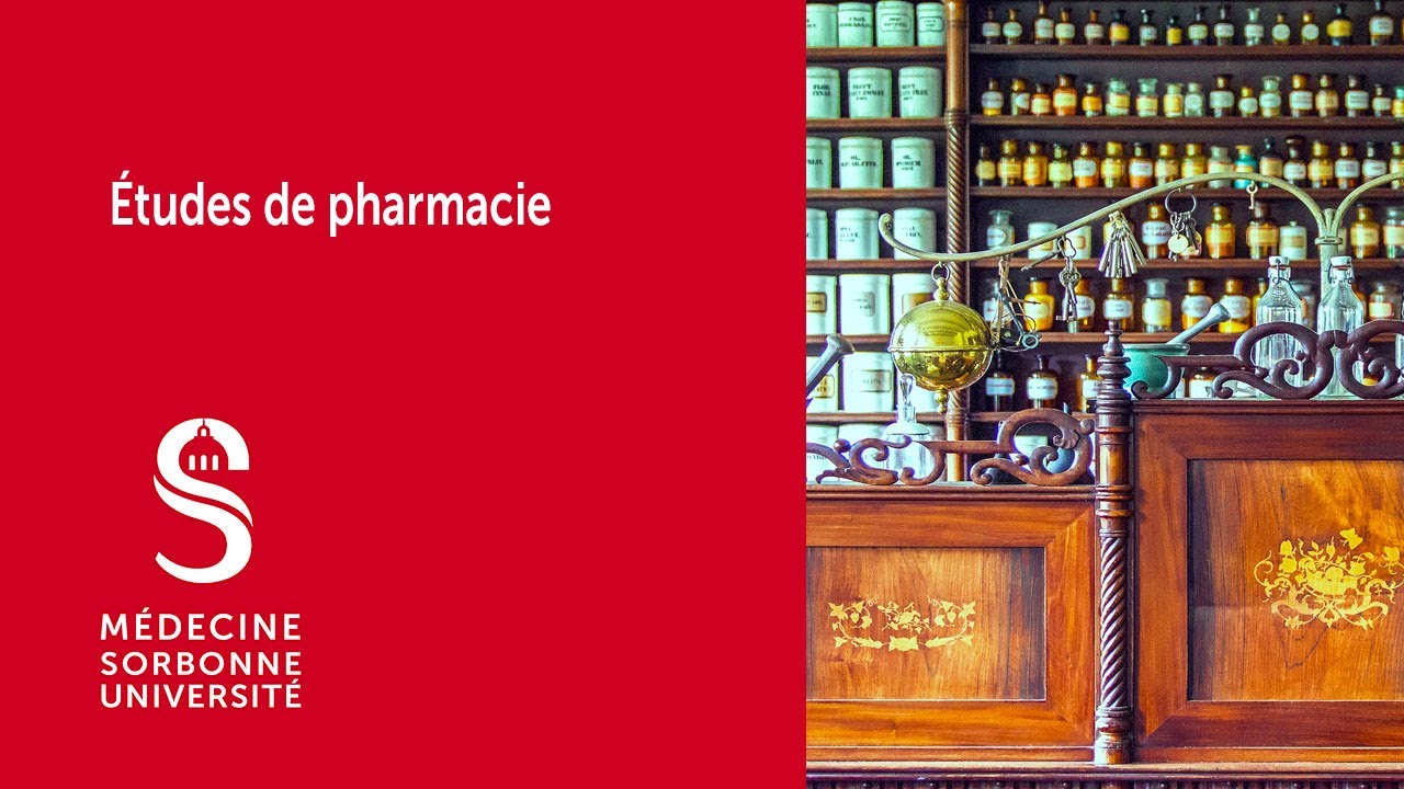 Études de pharmacie - YouTube