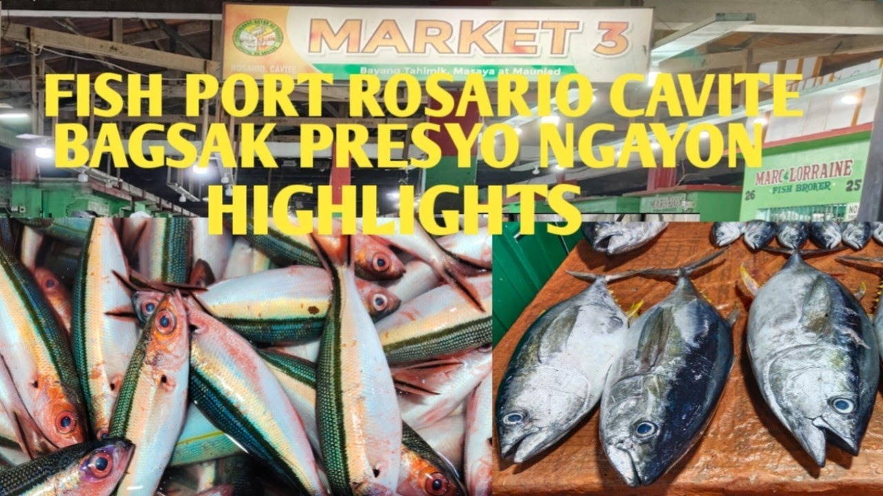 FISH PORT ROSARIO CAVITE DINADAYO ITO NG IBA IBANG LUGAR DAHIL SA MGA ...