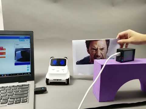 Codey Rocky-Emotion Recognition - YouTube