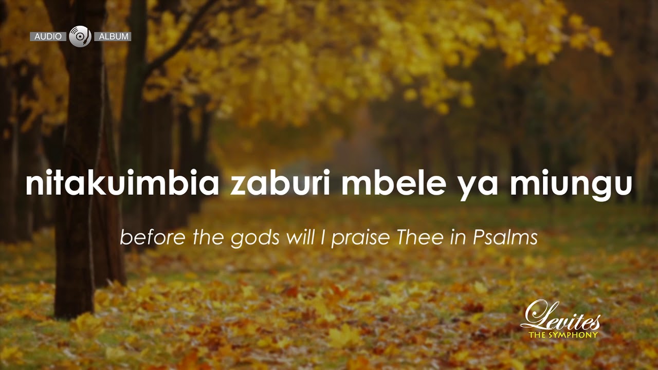 Kaumba (Official Lyrics Video) - YouTube