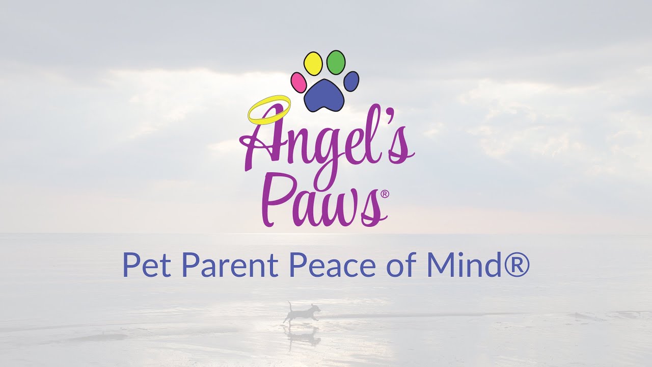 Angel's Paws - Pet Parent Peace of Mind Program ® - YouTube
