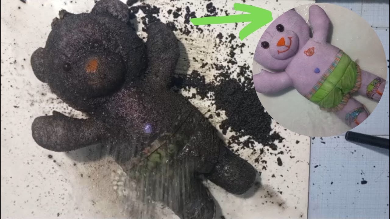 Cleaning Dirty Teddy Bear With Toothbrush Glare washing bear ...