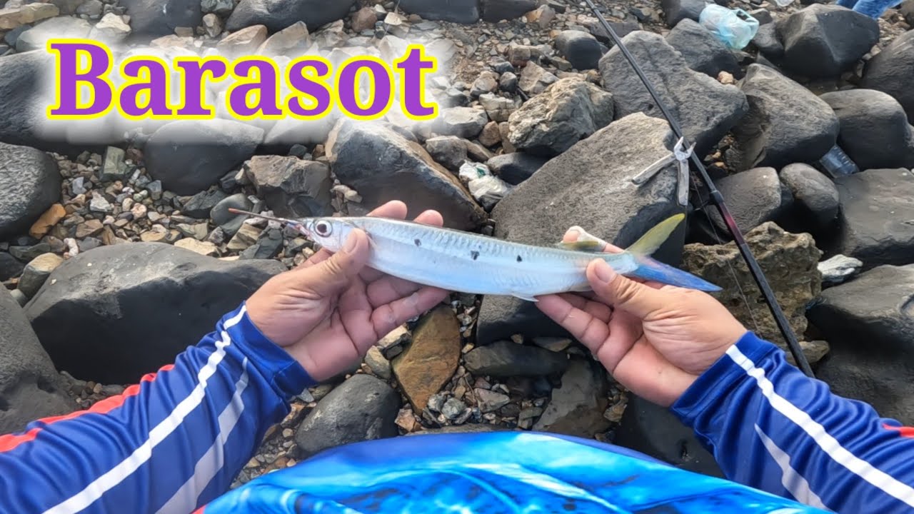 paano huliin ang isdang needle fish | Siliw | barasot - YouTube