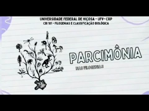 Parcimônia nas Filogenias - YouTube