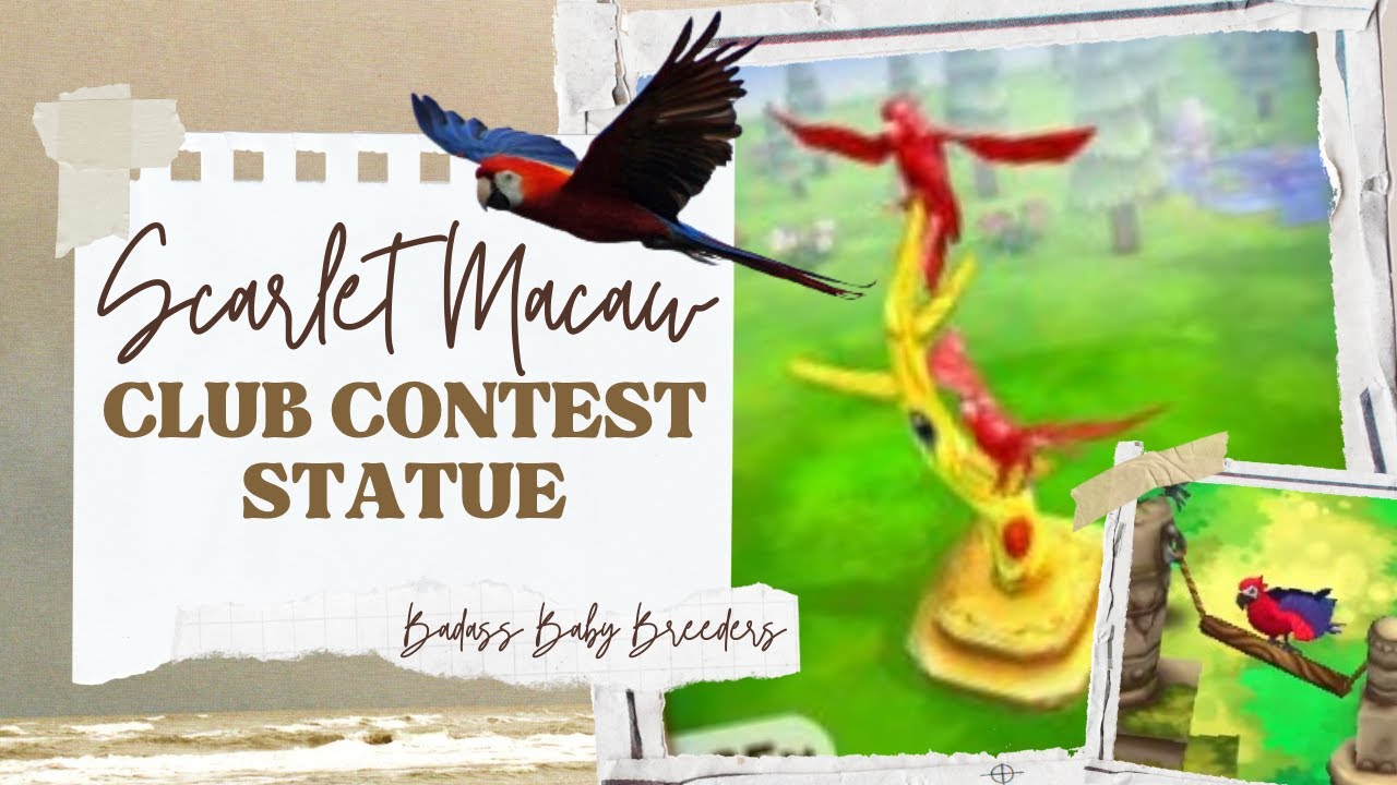 Completing and Collecting the Scarlet Macaw Club Contest Statue - # ...