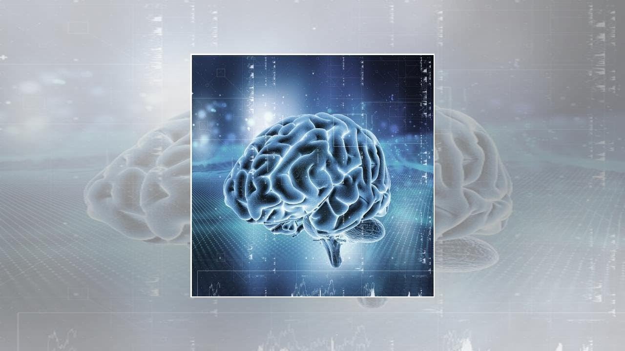 Sistema de recompensa del cerebro: ¿cómo funciona? | Maha TV - YouTube