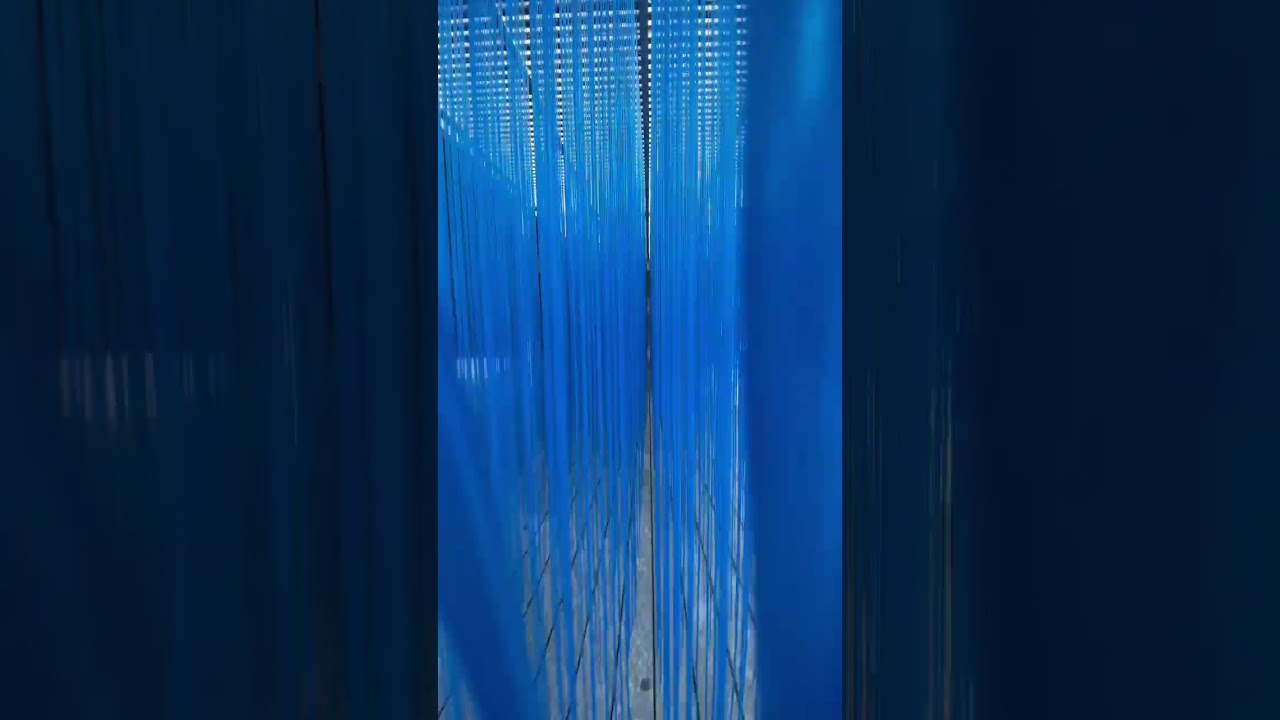 Jesús Rafael Soto: Pénétrable BBL bleu 2/8, 1999. Pérez Art Museum ...