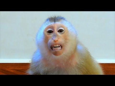 You Are Funny As Before Sovan! Sovan Smile Never Fail To Melt Your Heart! - YouTube