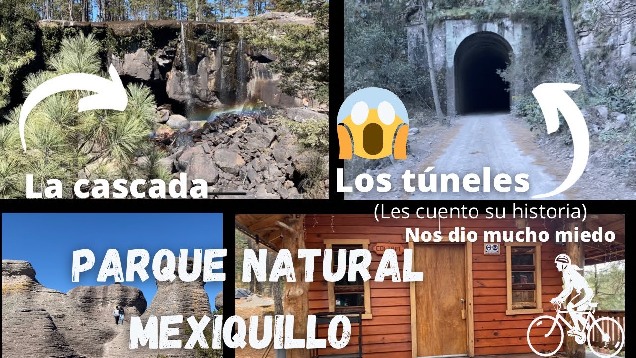 Tour parque natural mexiquillo. 🌲🚵🏻‍♀️ lo recorrimos en bicicleta ...
