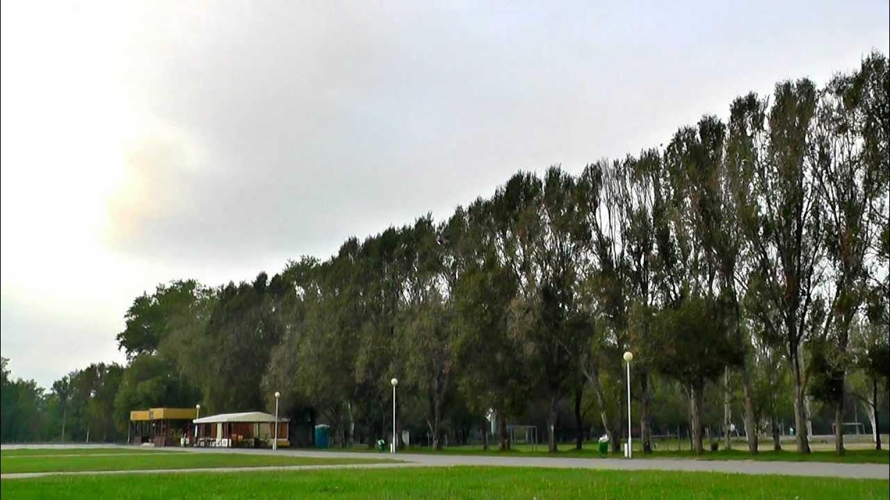 RC Вертолет MJX F29 - YouTube