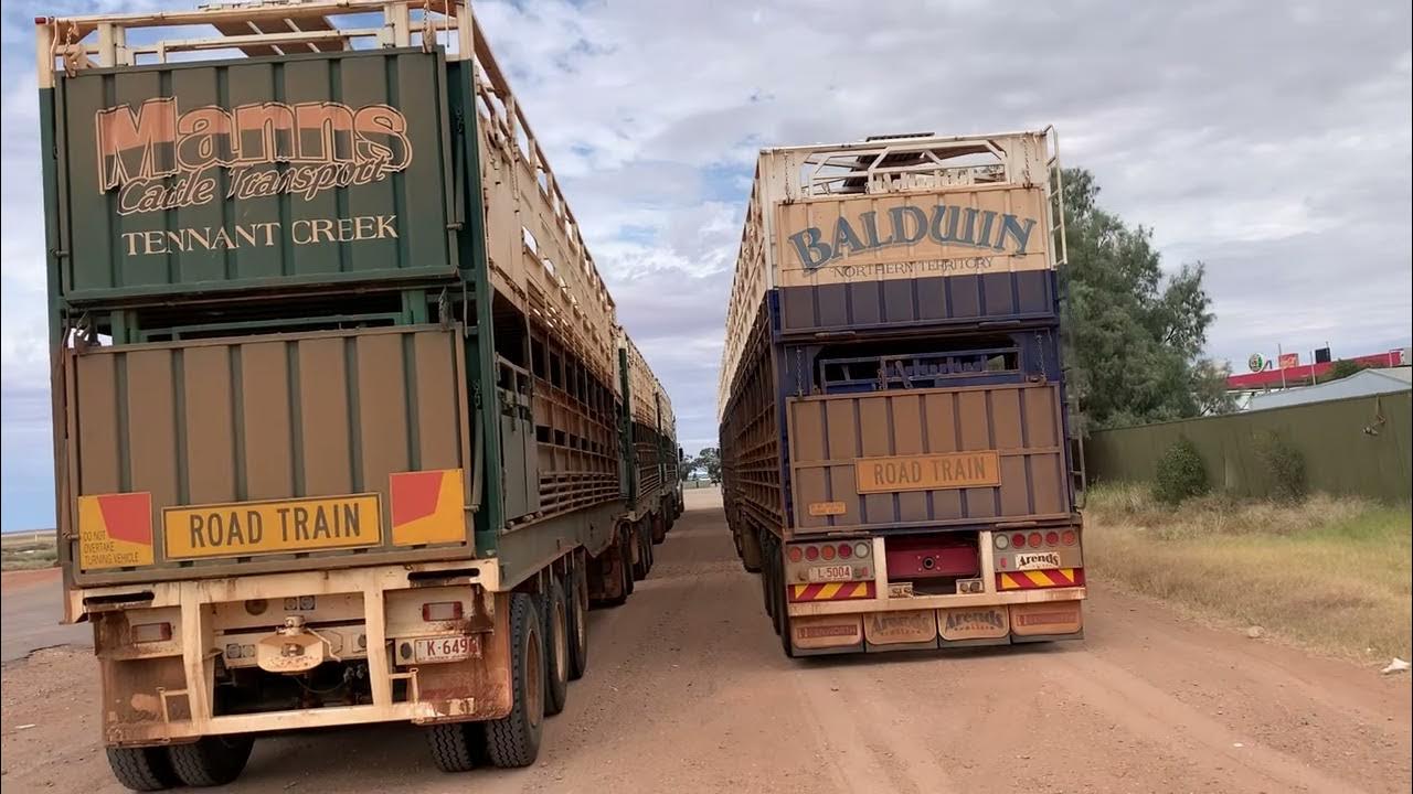 Triplo RodoTrem de Bioada Austráliano / Triple LiveStcok Road Train in Australia 🇦🇺 - YouTube