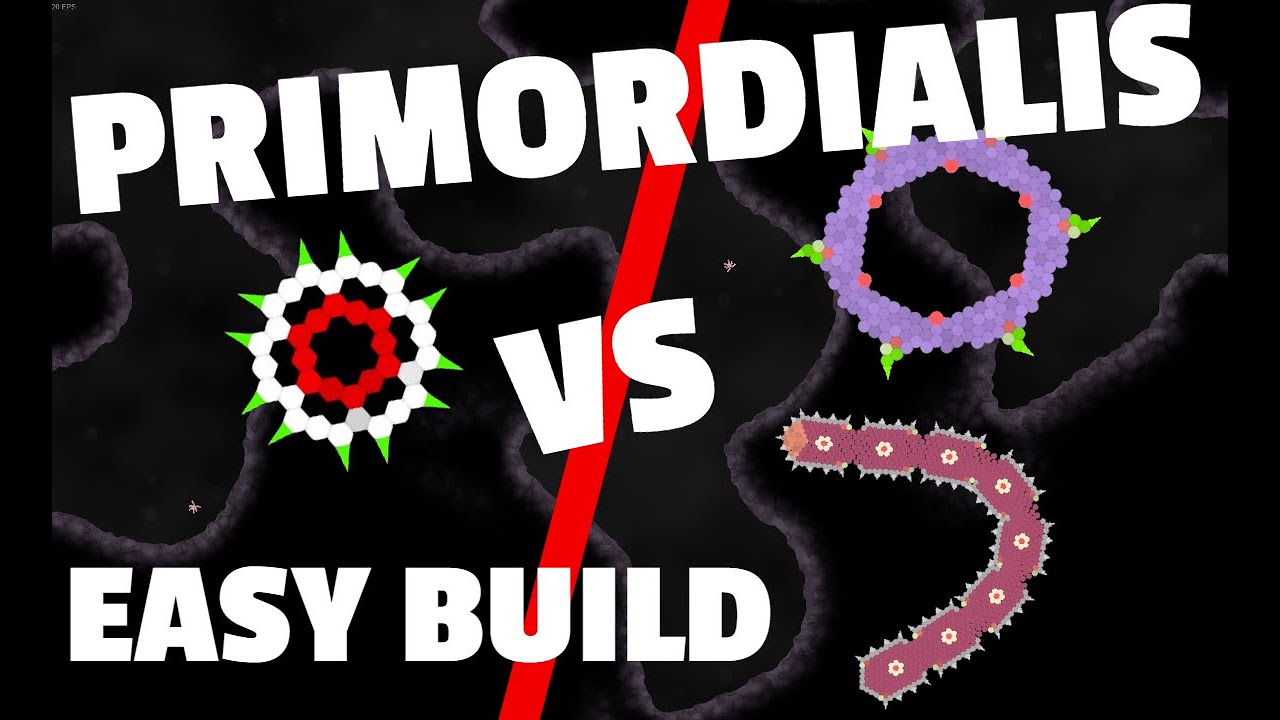 Simple OP Build | Primordialis | - YouTube