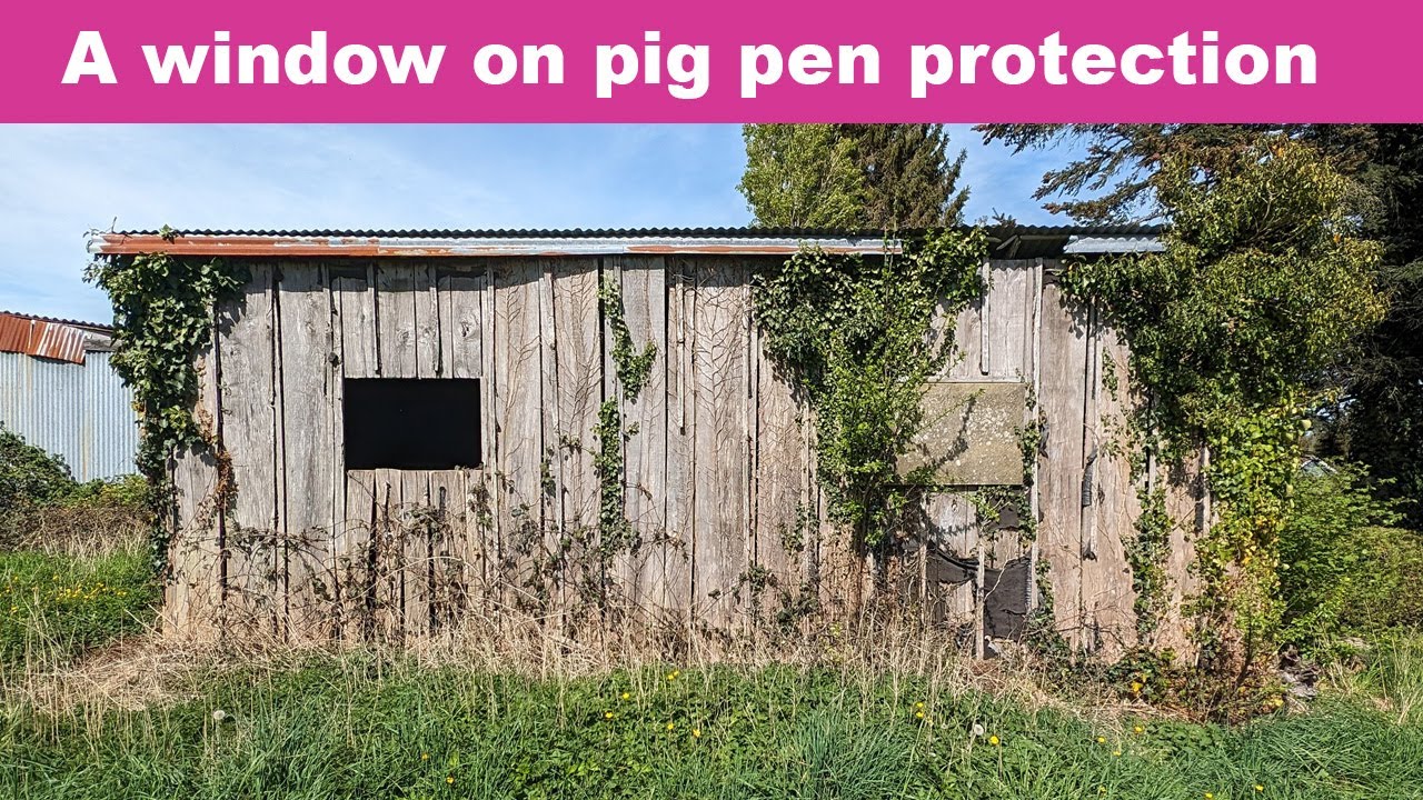 A window on pig pen protection at the French farm house renovation ...