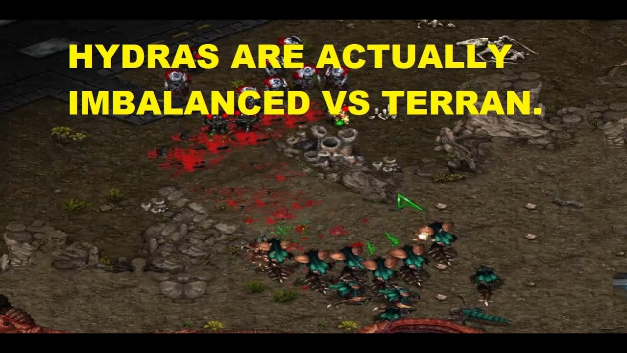 HYDRAS ARE ACTUALLY IMBALANCED VS TERRAN - YouTube