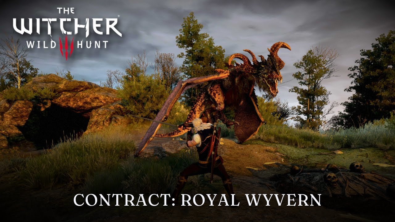 Witcher 3: The Wild Hunt | PS5 60 FPS | Next Gen | Contract: Royal ...