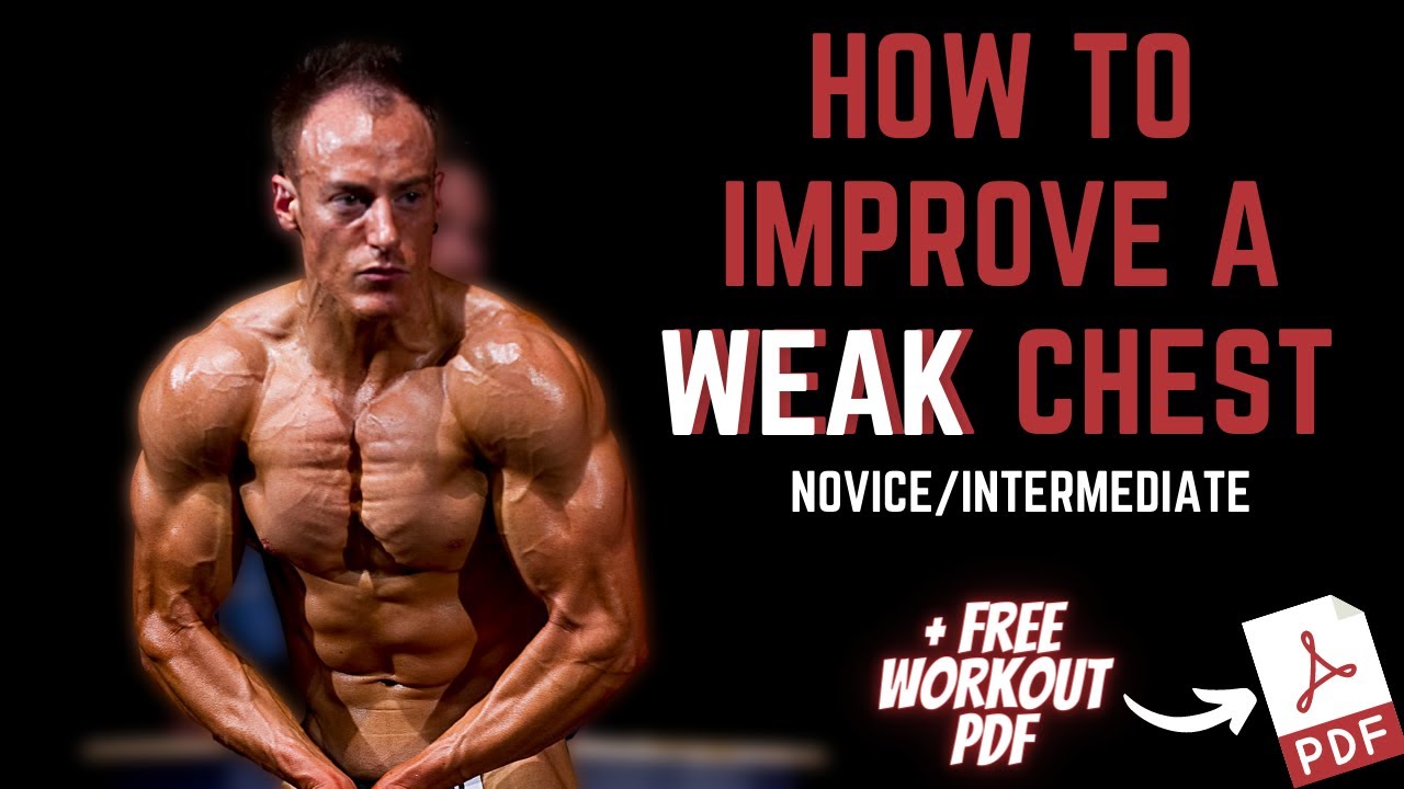 HOW TO BUILD A BIGGER CHEST - Comprehensive Breakdown and Free PDF ...