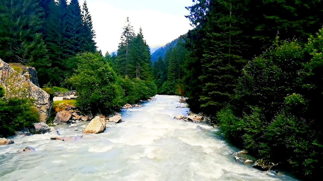 River Flowing in Mountain Forest - Calming River Sounds - Soothing ...