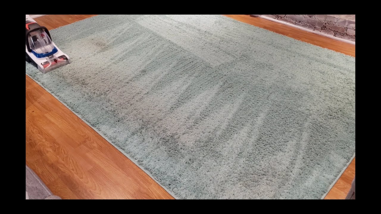 EXTREME CARPET CLEANING TRANSFORMATION ON A BUDGET||SAVE THE CARPET ...