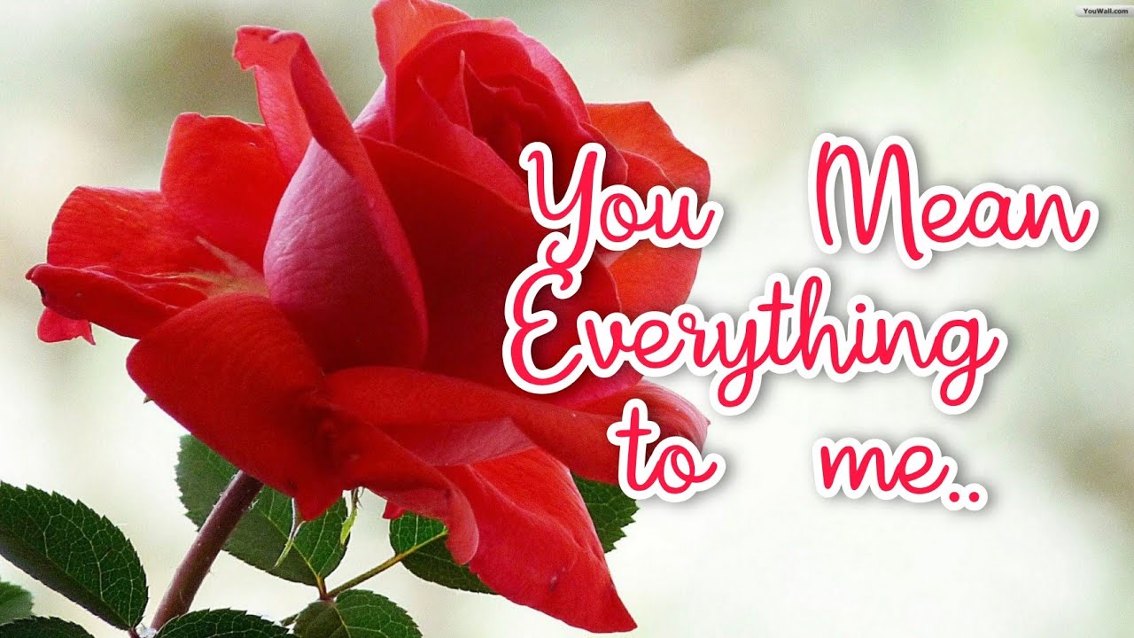 Thank You For Your Constant Support... - You Mean Everything To Me 🥰 ...