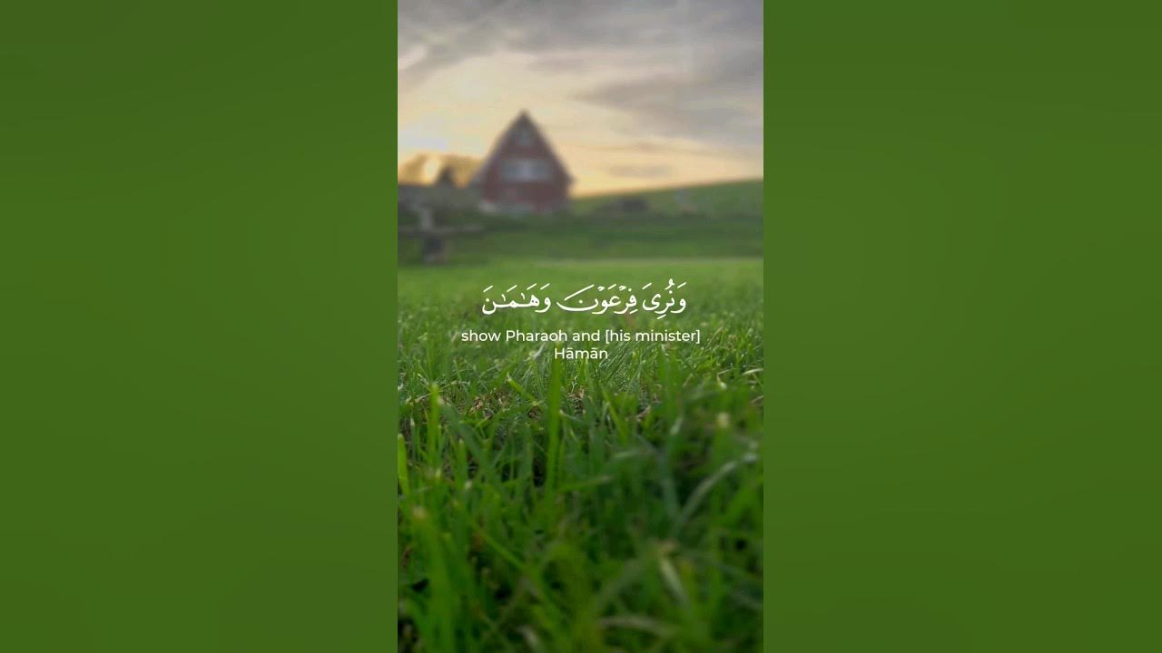 و نريد أن نمن على الذين استضعفوا في الأرض القرآن الكريم 3morssan