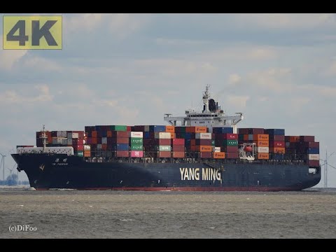 YM FOUNTAIN - Shipspotting Germany 🇩🇪 IMO 9278090 - River Elbe near ...