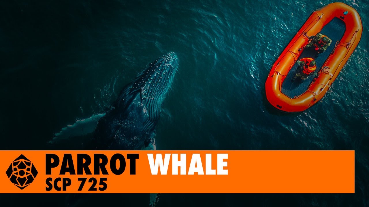 SCP 725 - Parrot whale | Euclid SCP | Aquatic SCP | SCP explained - YouTube