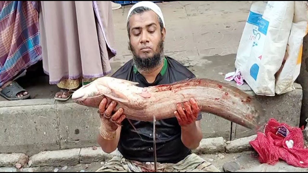 Amazing Big Boal Fish Cutting In Bangladesh Fish Market - YouTube